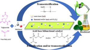 Production of Non-Food Feedstock Based Biodiesel using Acid-Base ...